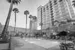 Mission Valley Hotels - DoubleTree Hotel San Diego